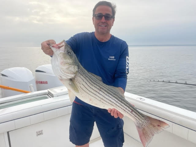 Complete Fish Catching Pandemonium