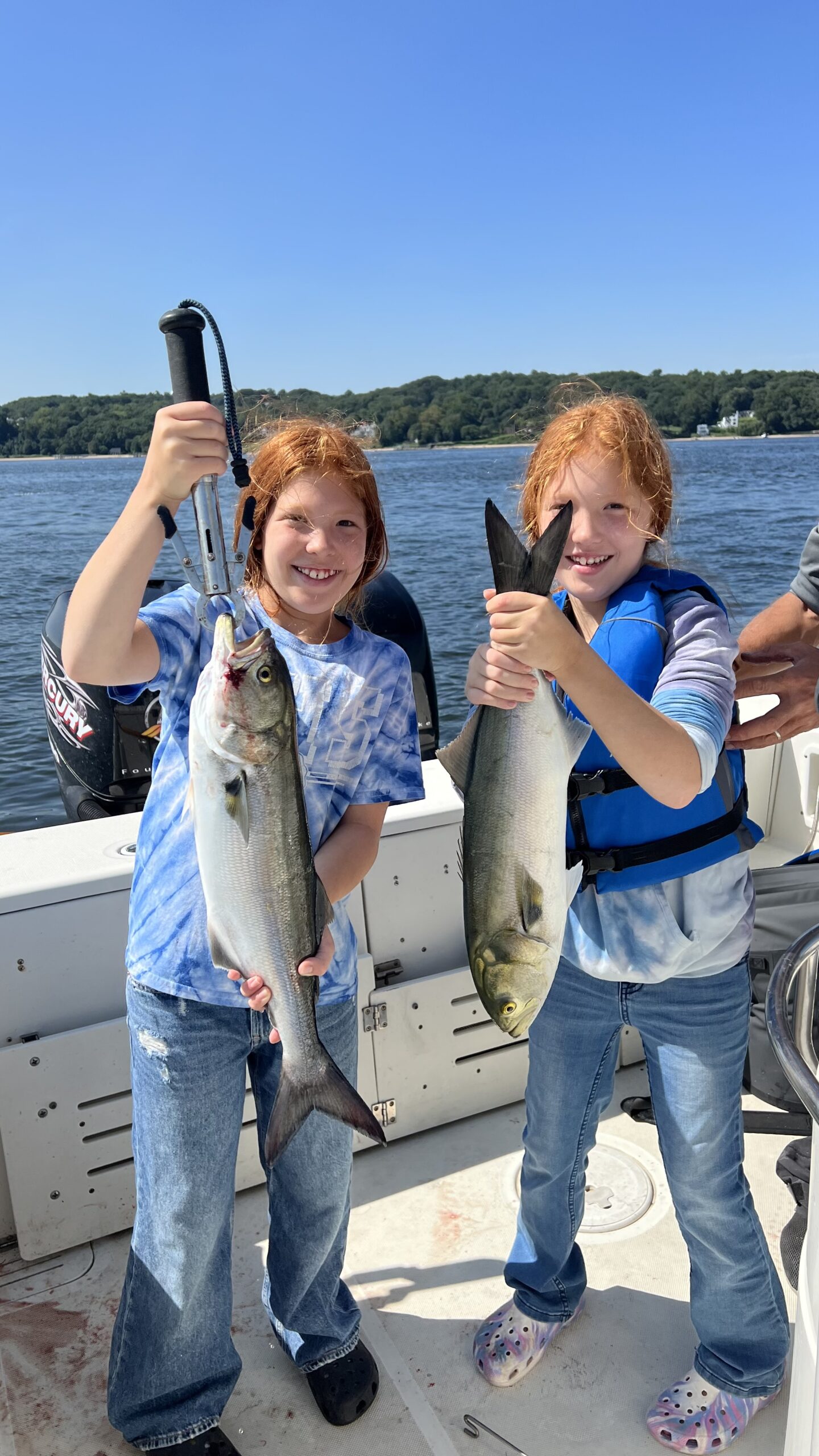Fluke and Bluefish Combo