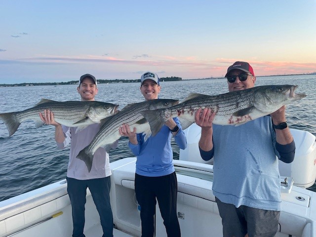 Amazing Spring Striper Run Just Keeps Getting Better!
