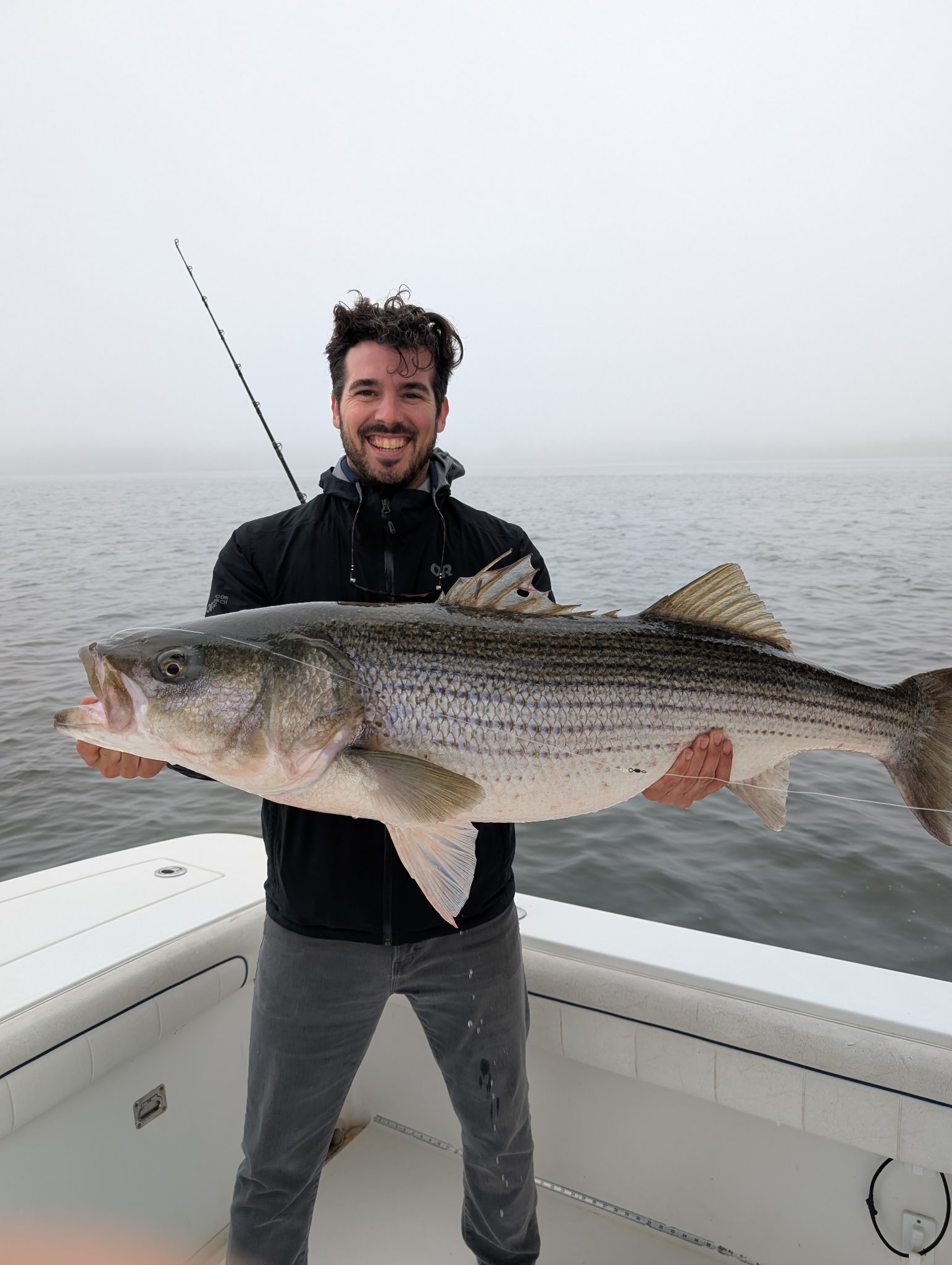 The Incredible Month of June!